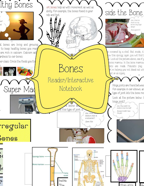 The Hermit Crabs Homeschool: All About Bones Unit Study