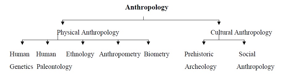 Anthropology: Meaning, Scope and Development of Anthropology, Types of ...