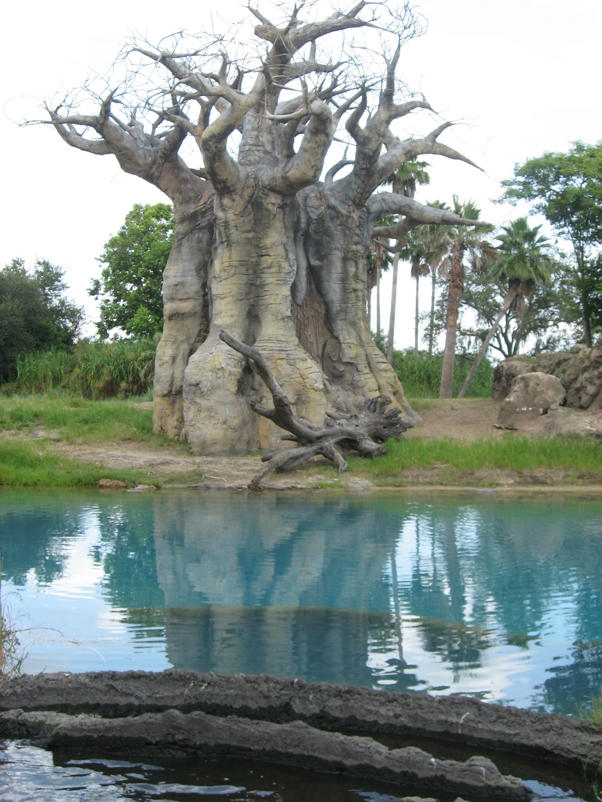 Mother Nature's Weird Creations