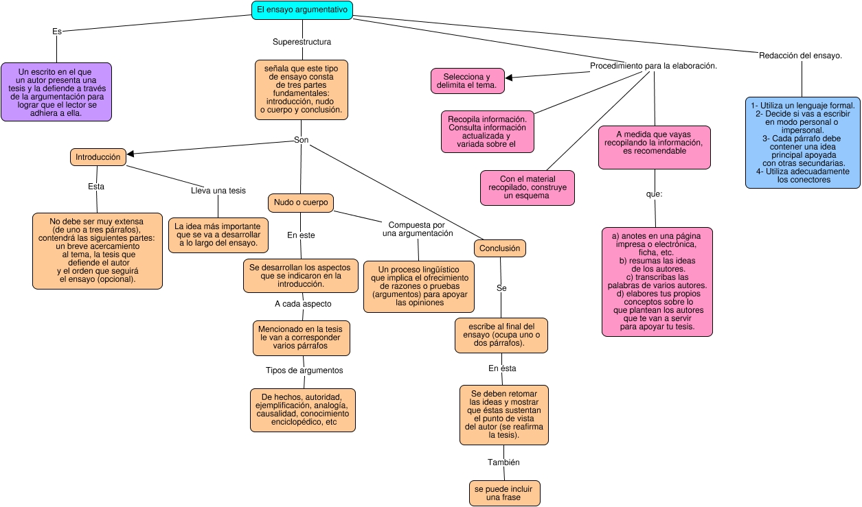 Mi proceso de aprendizaje: Organizador gráfico sobre el ensayo ...
