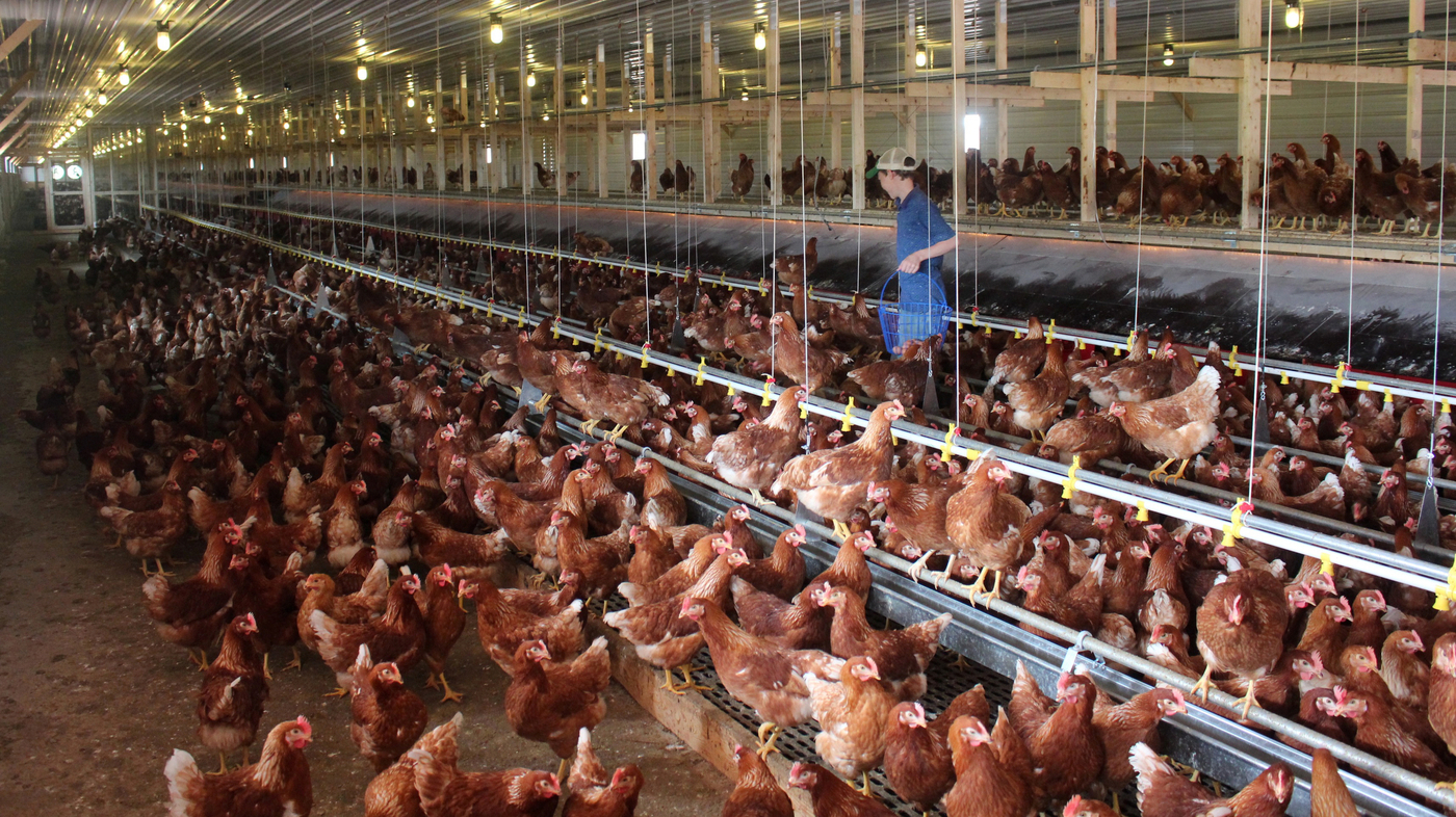 CULLING IN LAYERS PRODUCTION