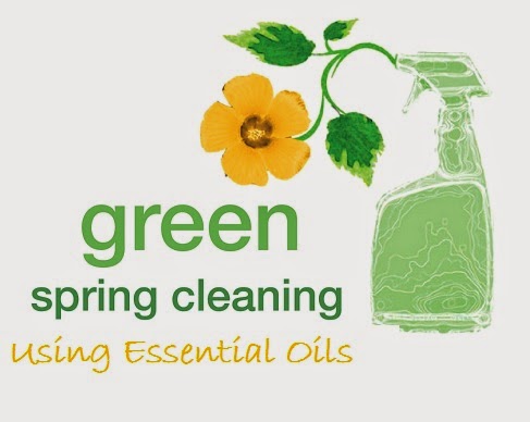 Everything Essential Oils; Recipes, Uses and Safety: Essential Oils for ...