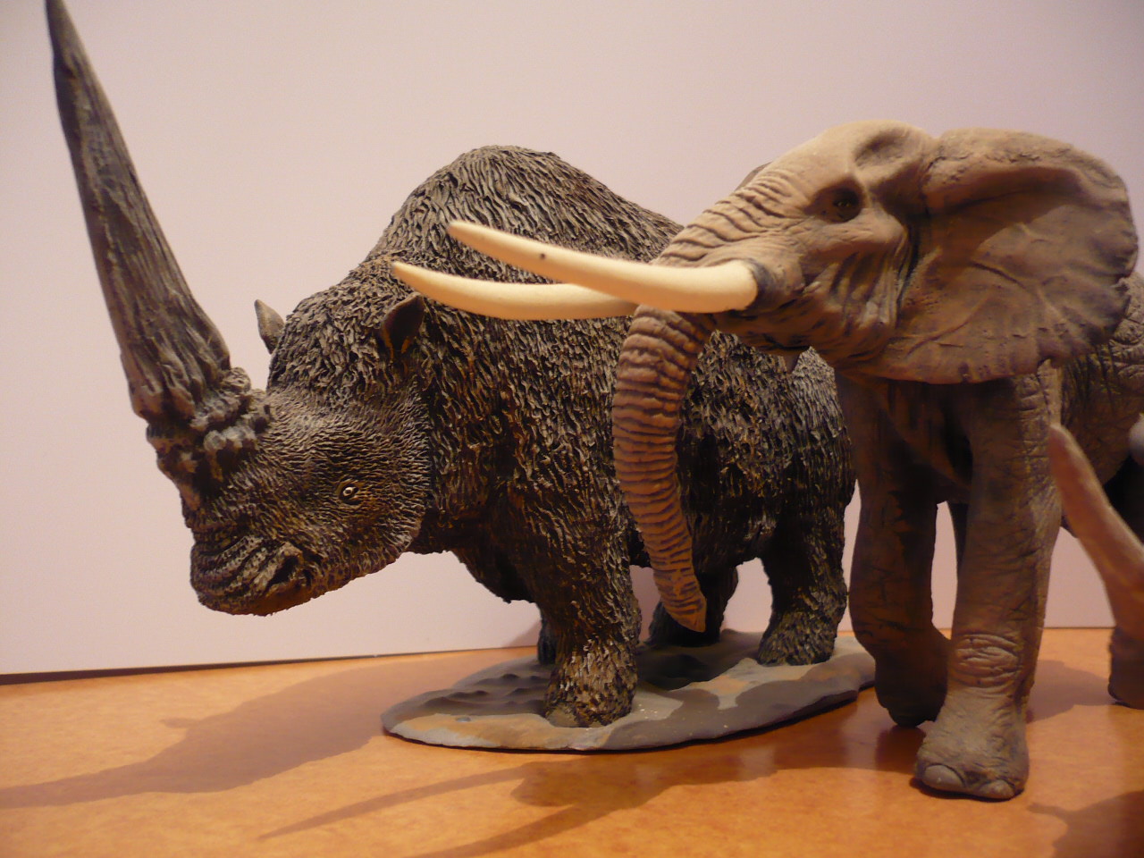 Elasmotherium - JungleKey.fr Image