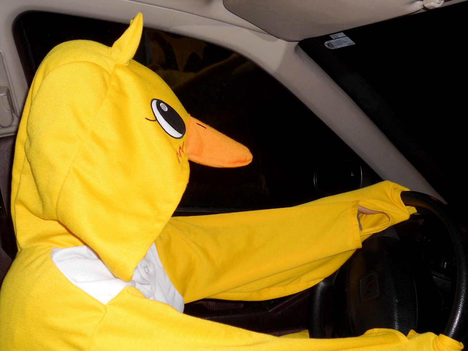 Rope: 25 things that are better in a duck suit.