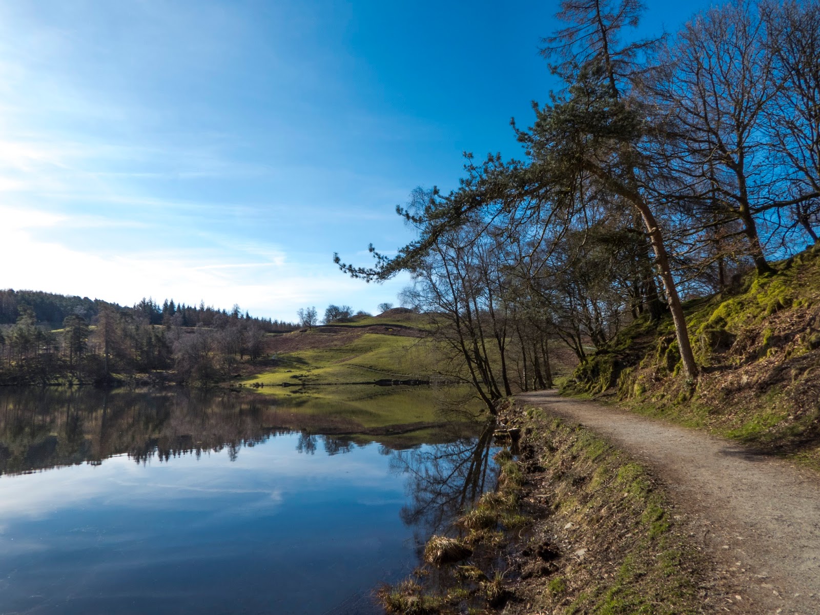 Images of Landscapes and Wild Flowers: Spring At Tom Ghyll, Tarn Hows ...