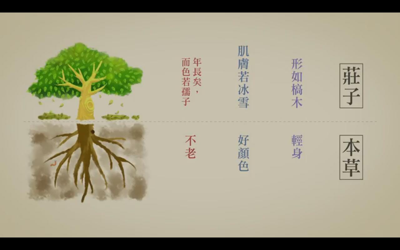 Espresso Sierra, Taiwan: 人生到底在追求什麼？神凝，輕身，白骨(Zhuangzi─Posture, Awareness ...