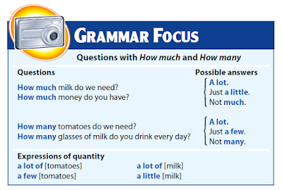 Questions with How Much and How Many - English Grammar