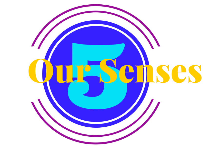 Teaching Minds Reaching Hearts: Mission Exploration: Using our Five Senses