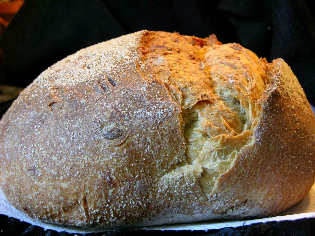 Recetas Thermomix: Pan de cebolla