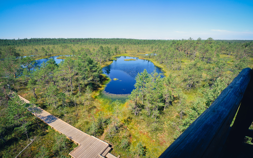 Photoblog: Rakvere & Viru raba