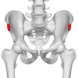 Movement hacks: 4 easy ways to decrease back pain