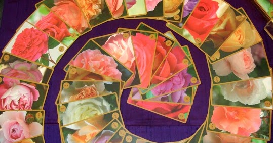 A bad witch's blog: Gifts: The Rose Alchemy Oracle Deck