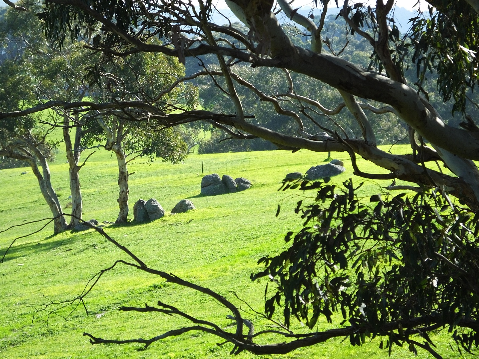 Meander to the Max: The view from Mount Alma -- high country, and ...