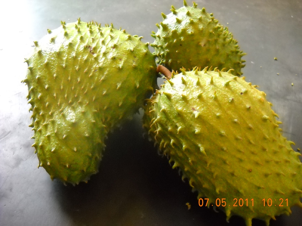 Environmental: Mengenal Tanaman Sirsak