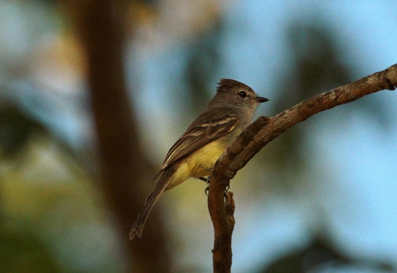 Nuestro bello mundo...: Excursion a la Posada Doña Barbara, Hato ...