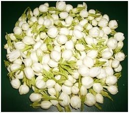 About how it was for us in Bengaluru. Shanthi talks about the 60's & 70 ...