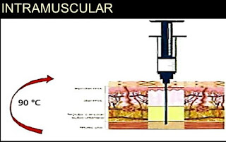 PROGRAMA AMPLIADO DE INMUNIZACION (PAI): 2019
