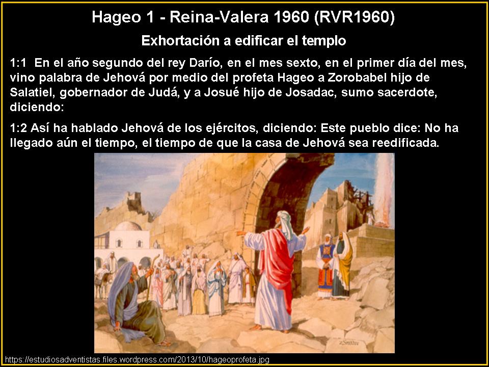 Biblia - Libro de Hageo