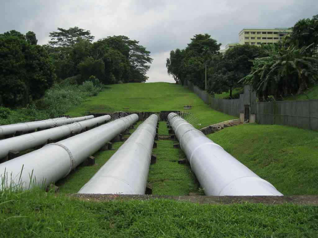 Singapore Pipe at Dianna Wagner blog