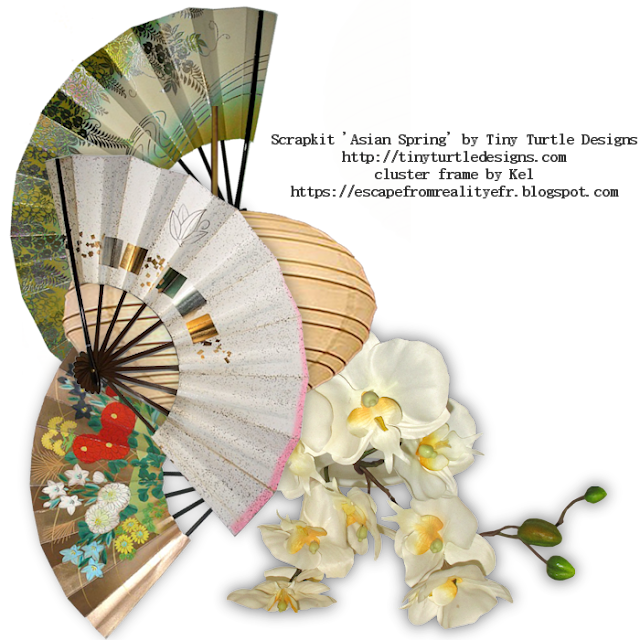 Escape From Reality Blog: FTU Cluster Frames 'Asian Spring' TTD