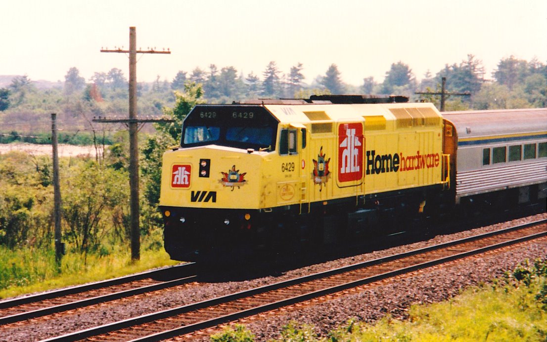 Trackside Treasure: VIA F40 Wraps