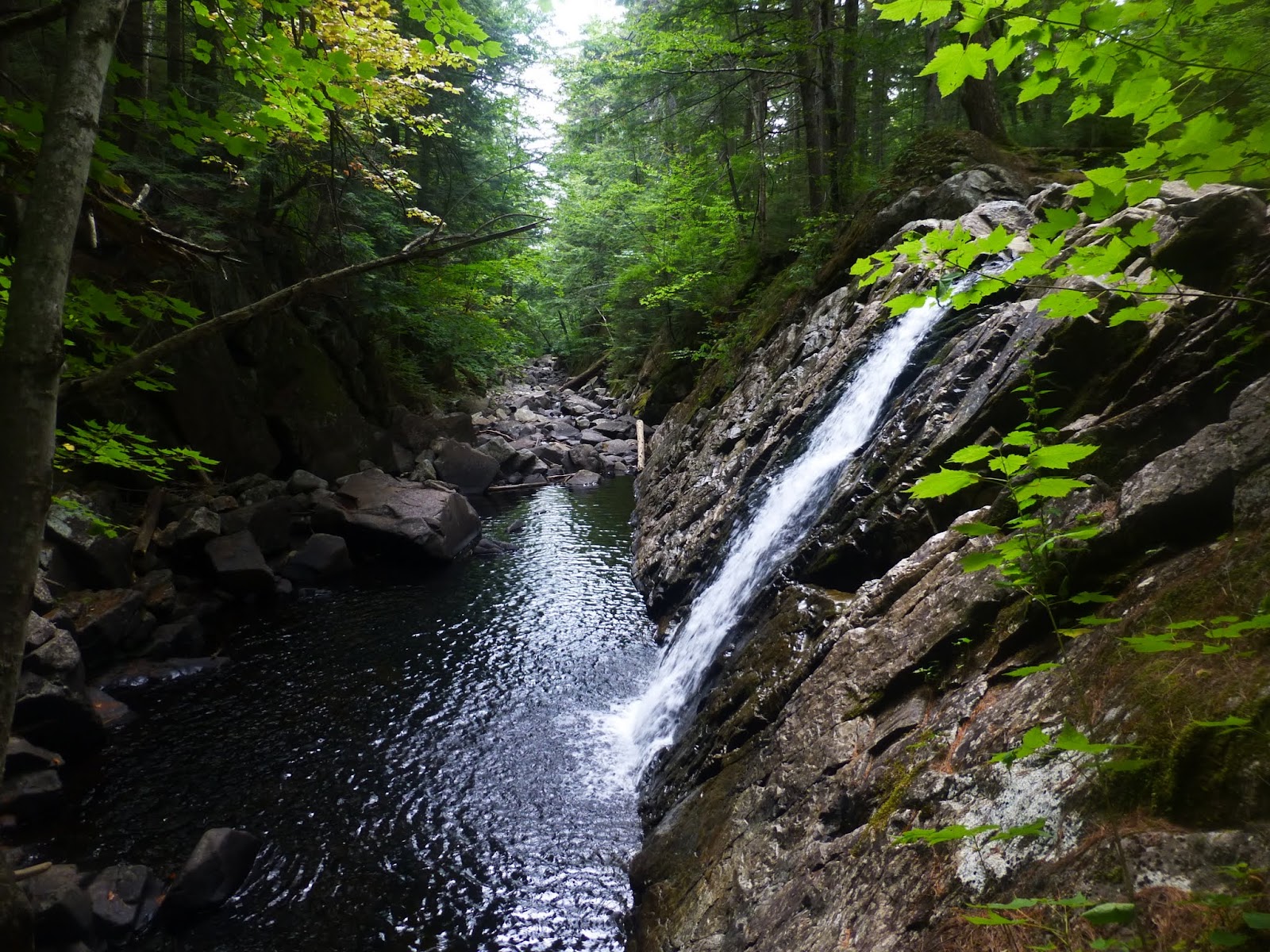 Off on Adventure: Shanty Brook and Kibby Pond - Siamese Ponds ...