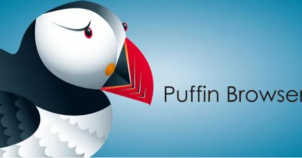 Puffin Browser PC Full Crack