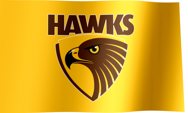 Hawthorn Football Club Flag (GIF) - All Waving Flags