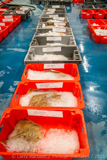 Through the Gaps! - Newlyn Fishing News: First online fish auction of ...