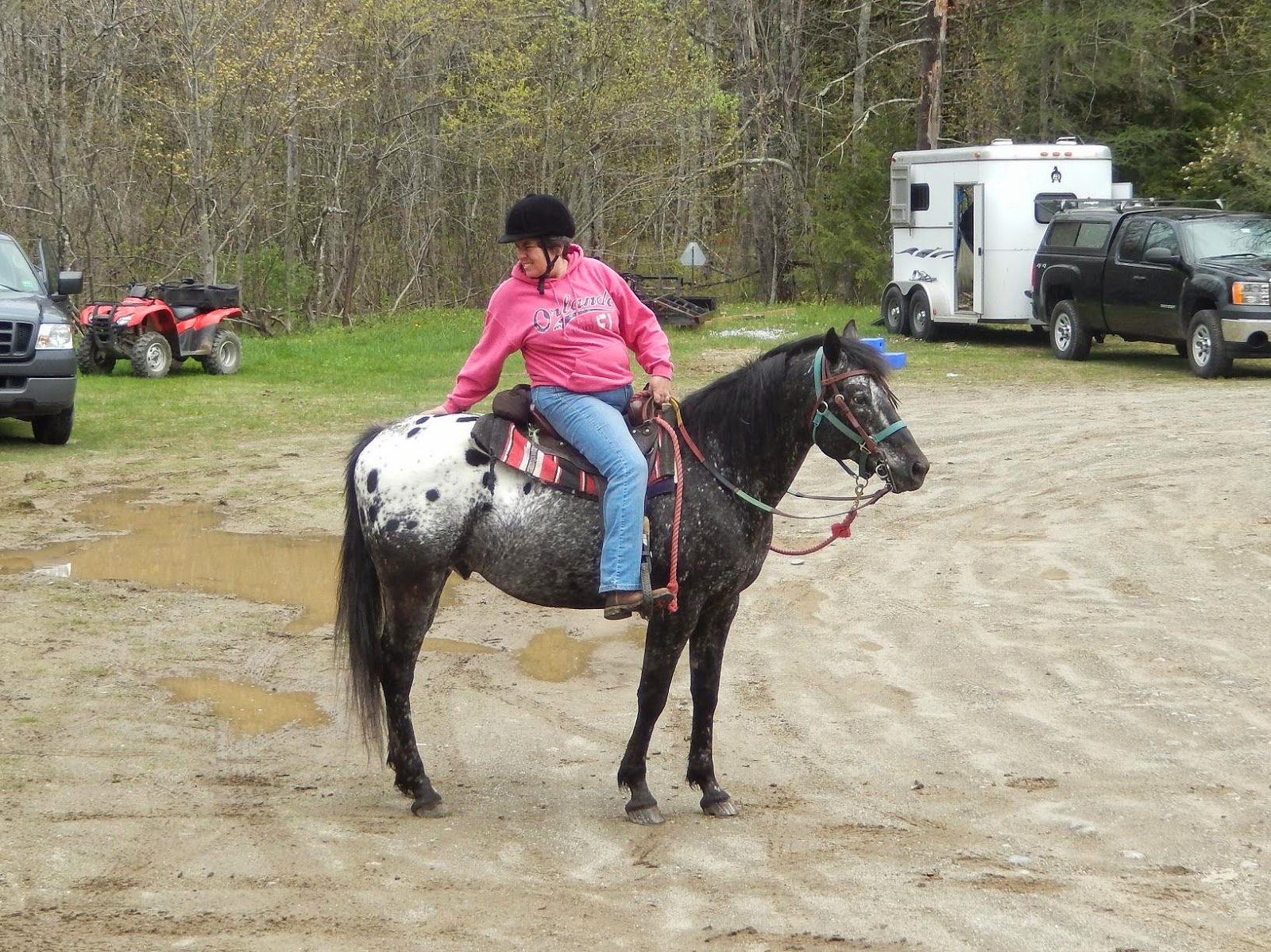Lily, The Lovely Bright Molly: Frye Mountain Ride With the Posse