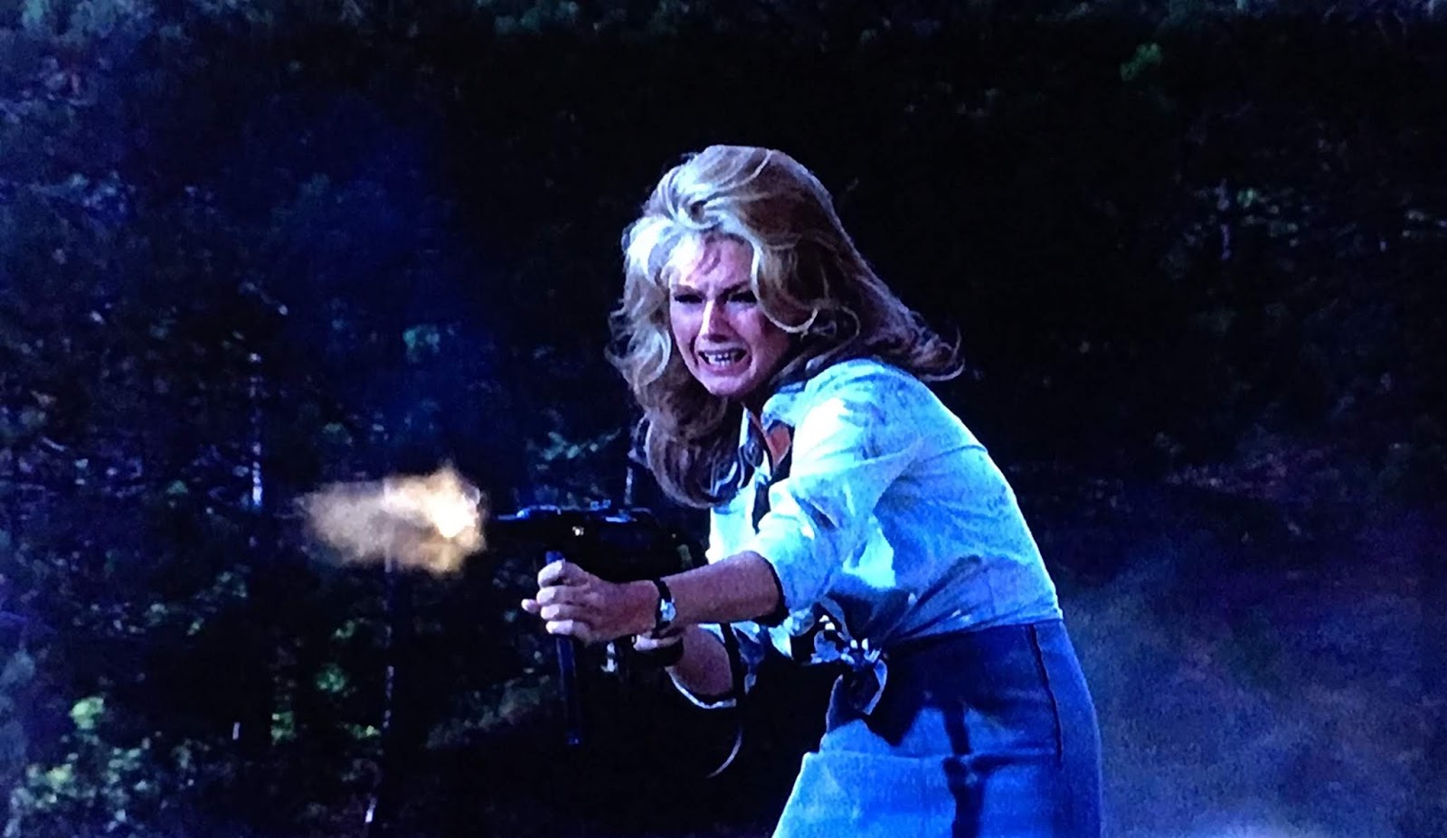 Hornet's Nest (1970)