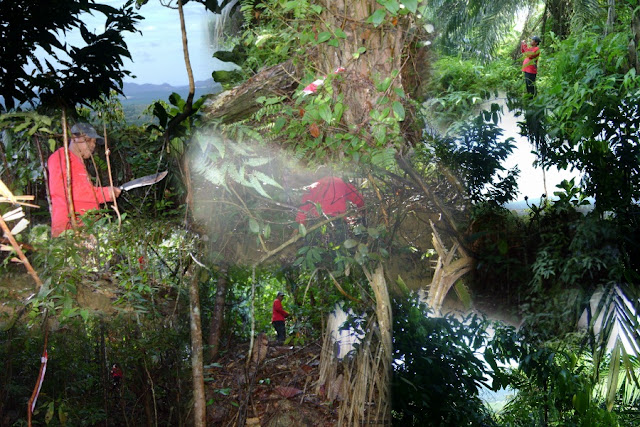 bocHa redaH Hutan - hutan gunung air terjon: Kem Pengakap Pagoh Muar ...