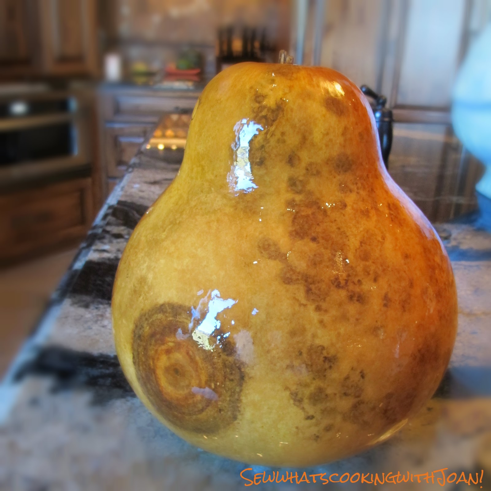 Sew what's cooking with Joan!: Let's make art! Gourd Art!!