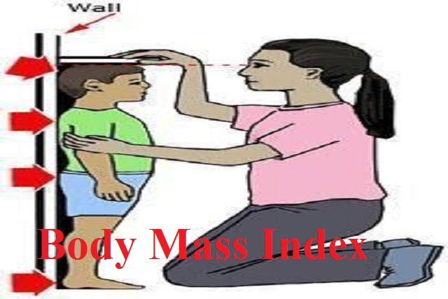 How to Calculate Body Mass Index ( BMI ) in Khelo india Assessor App
