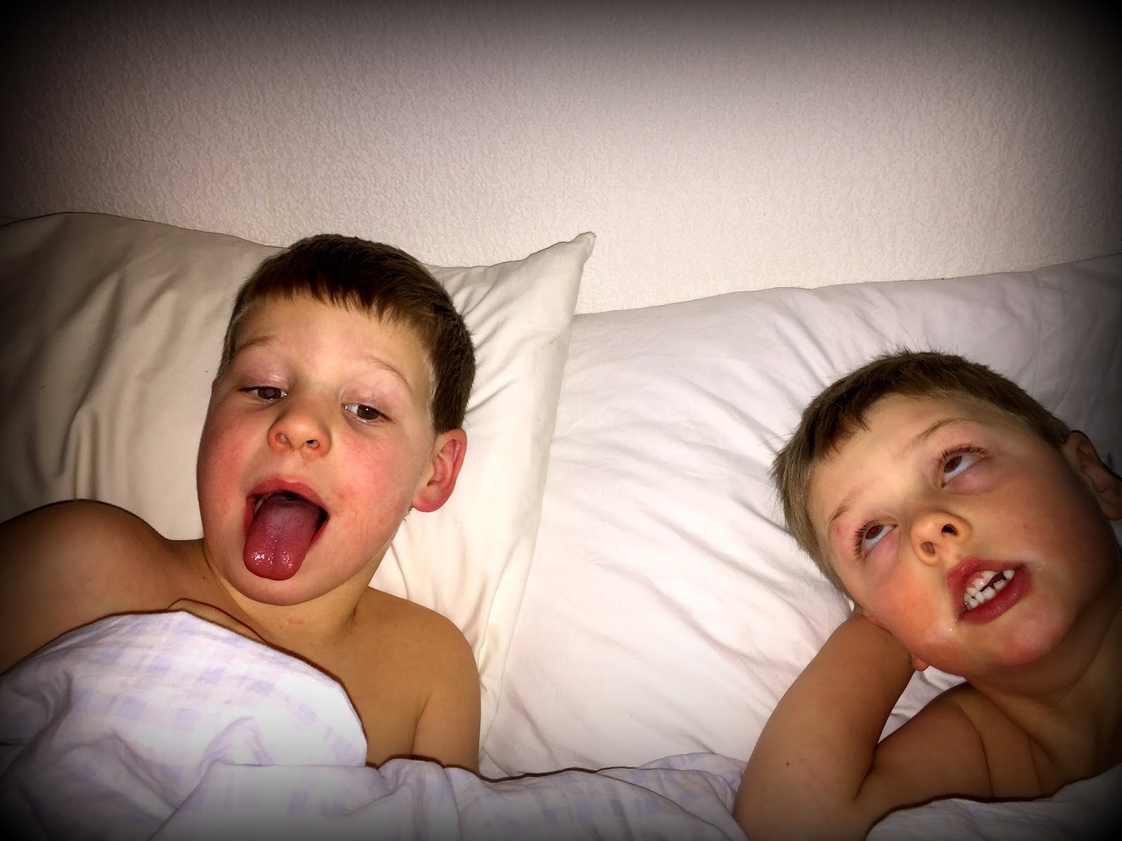 Försök inte förstå mig,älska mig bara: Snoppar och snippor!