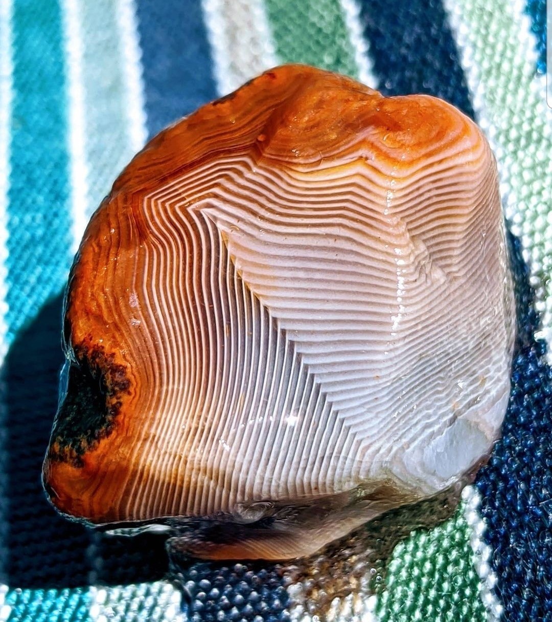 GEMAS DO BRASIL: A SURPREENDENTE ÁGATA