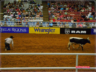 Gone To Texas: My First Time At The Rodeo