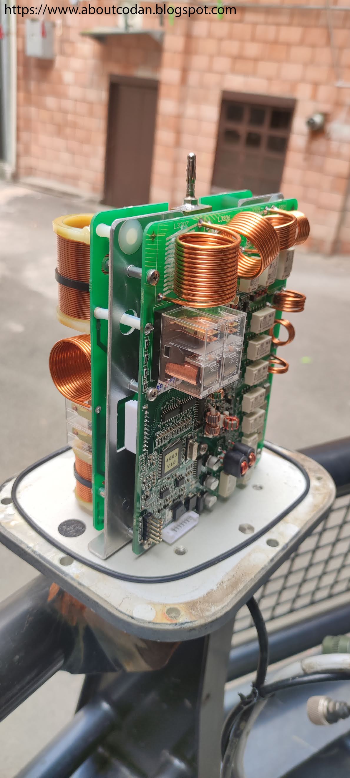 Everything about CODAN