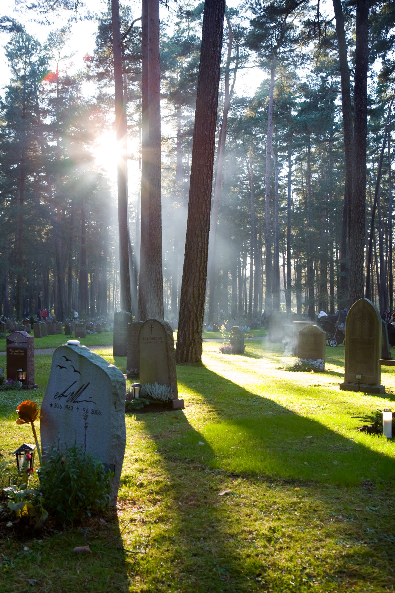 Association of Significant Cemeteries of Europe: November 2011
