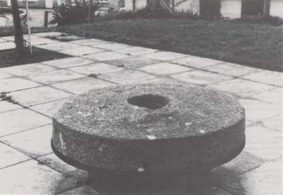 Miller-Anderson Histories: ROGER CONANT 1592-1679