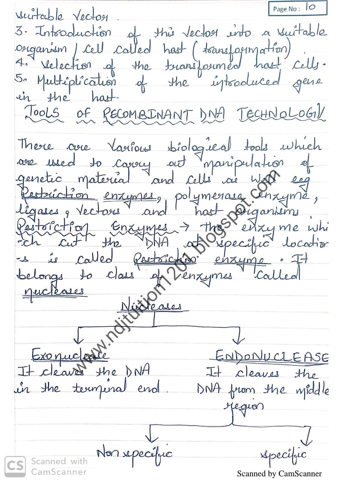 Biotechnology Principles and Process Handwritten Notes for 12th Biology