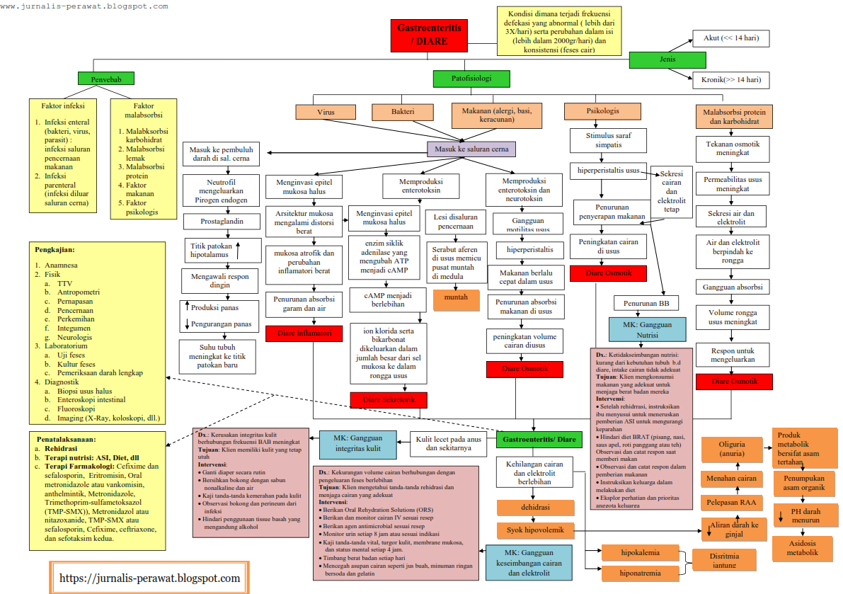 Pathway dan WOC Diare - Jurnalis Keperawatan