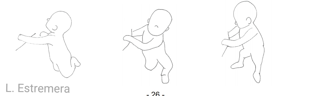 Cómo aprende a moverse el bebé y por qué es importante respetarlo