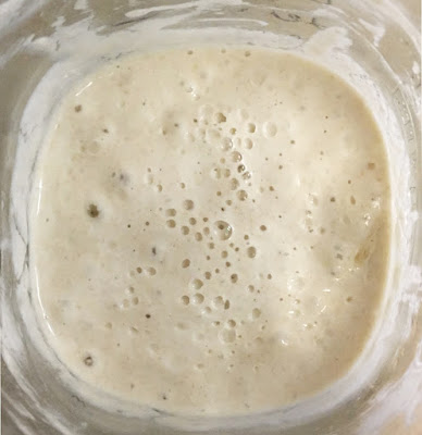 My Sourdough Journey: Part 1 - Liquid Levain Starter