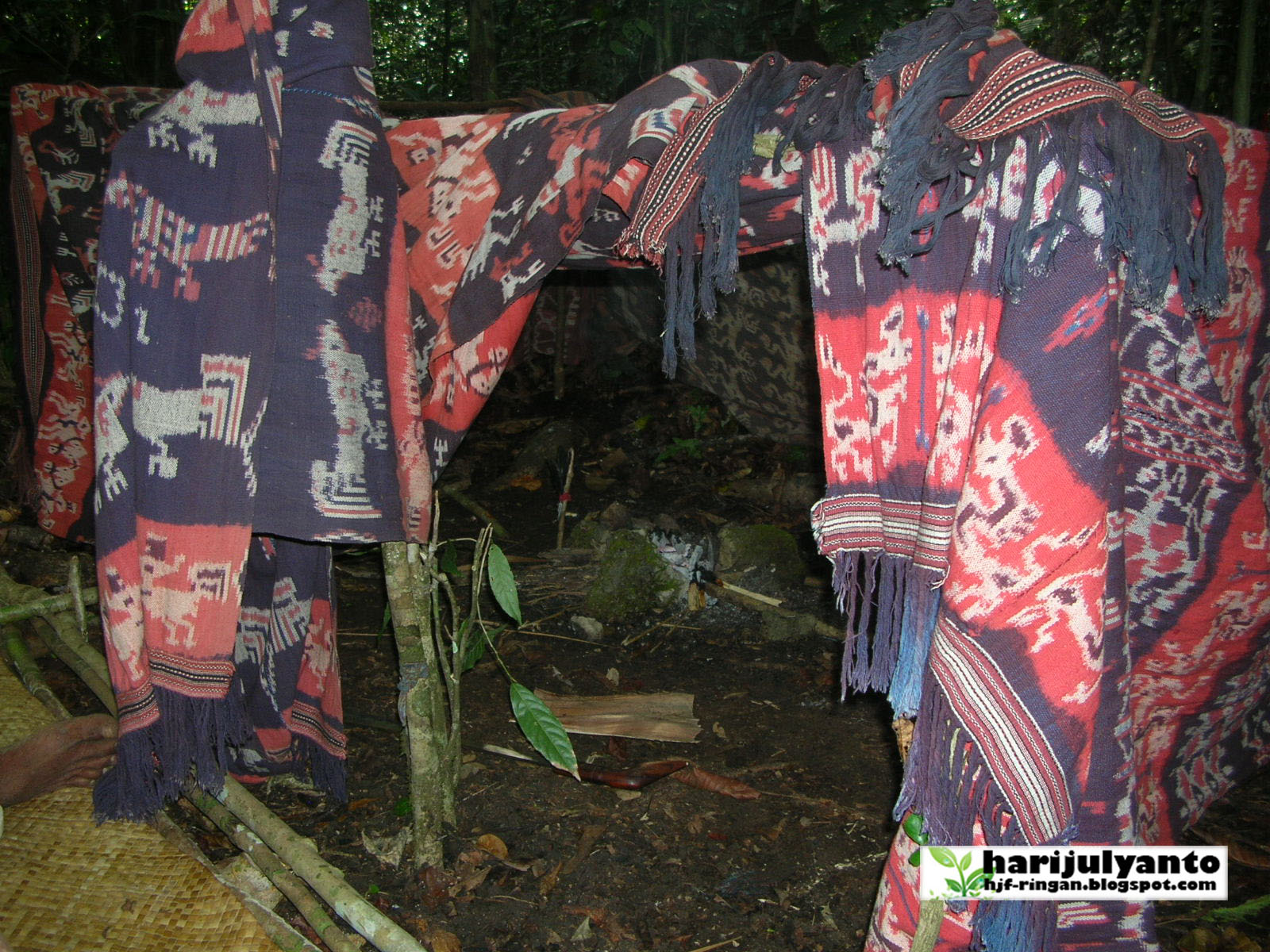 Ringan: Persembahan di Hutan Ritus ( Ritual Purung Taliang Marapu )