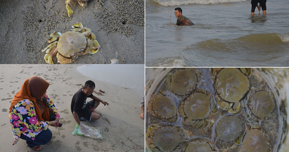 Bicara Mentari: CARA TANGKAP KETAM RAGI