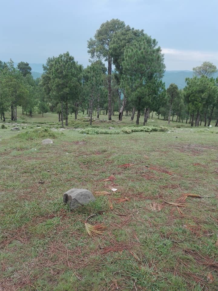 1 day trip to Karore valley on Patriata road Rawalpindi ...