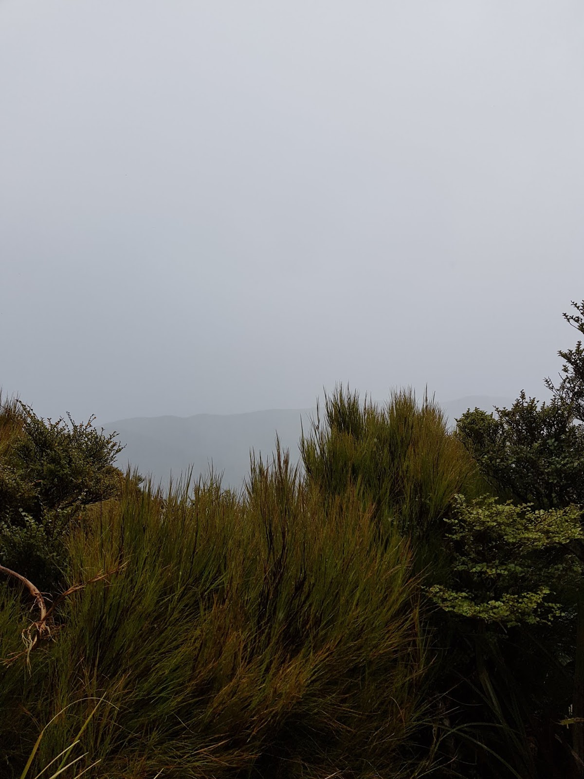 Tramping the Tararuas: Blue Range Hut