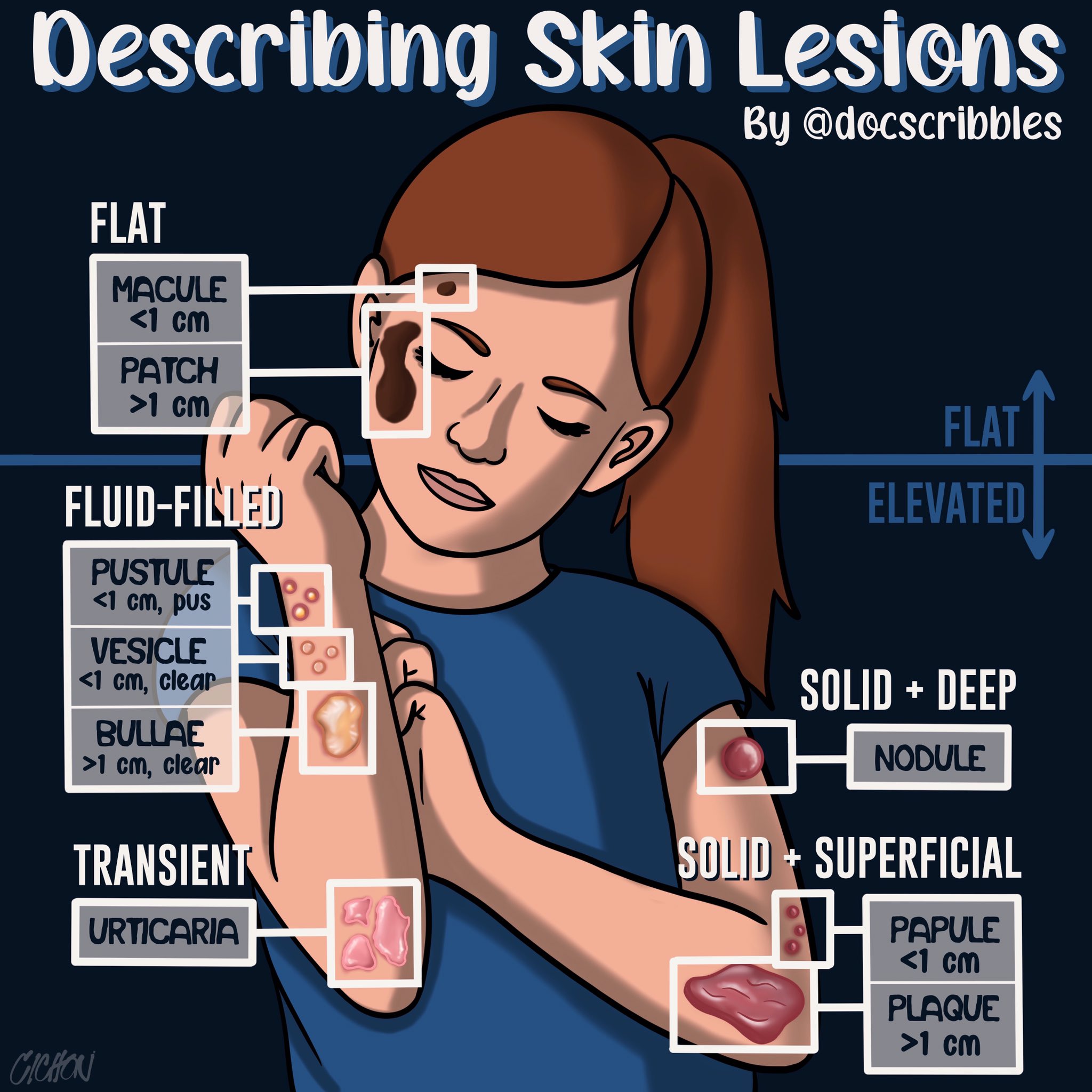 Types of primary skin lesions