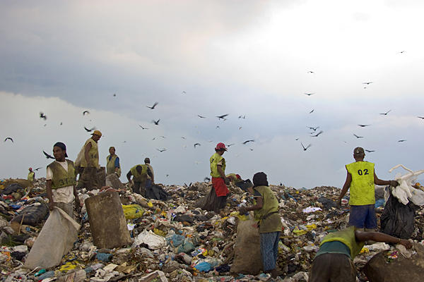 Greevents: Waste Land Documentary Review